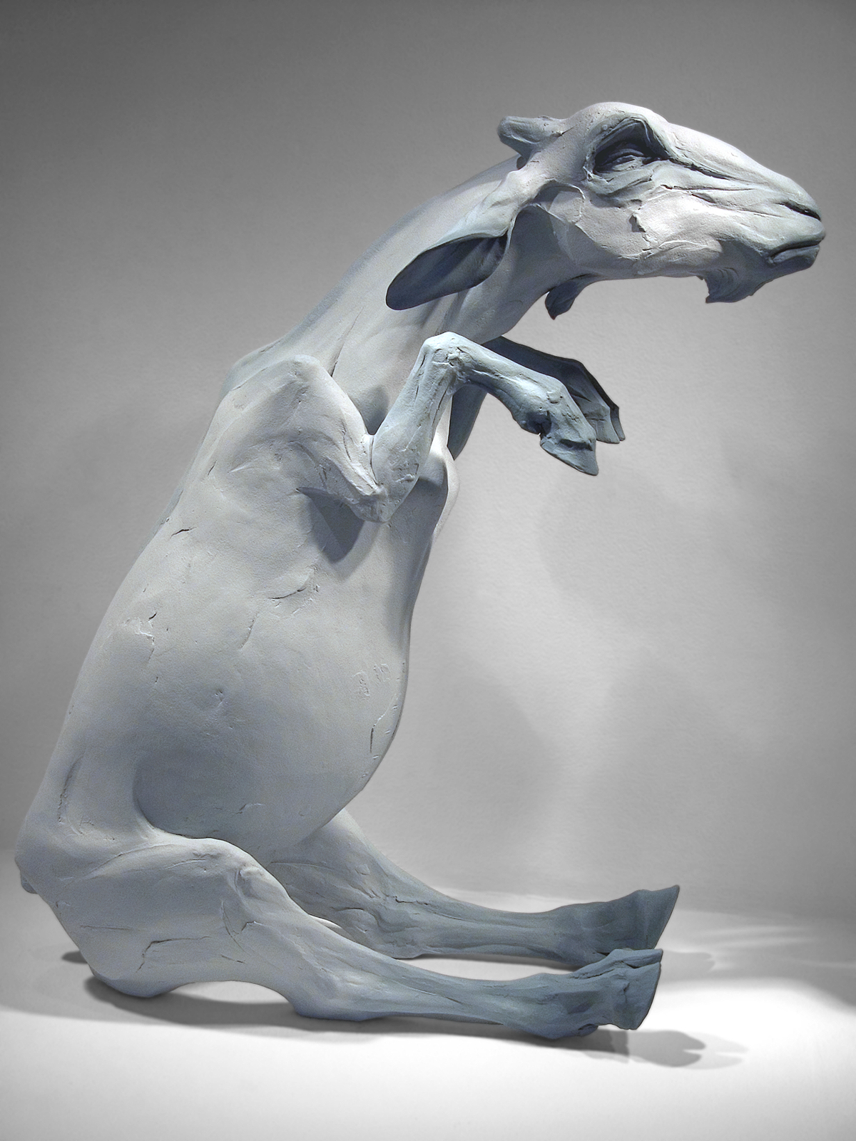 Breach – Beth Cavener – Follow the black rabbit